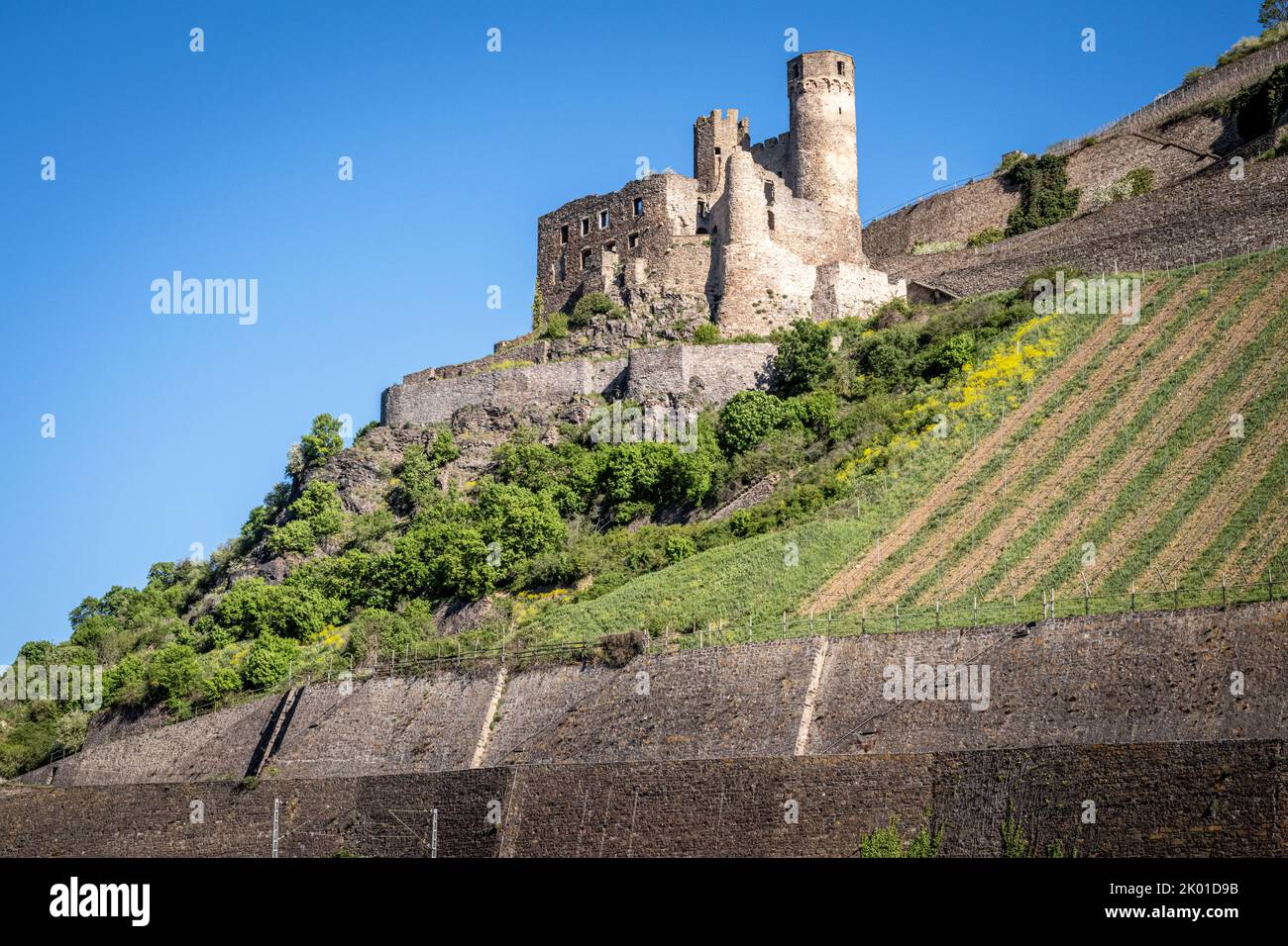 Ehrenfels Castle (Burg Ehrenfels), Rüdesheim am Rhein Stock Photo - Alamy