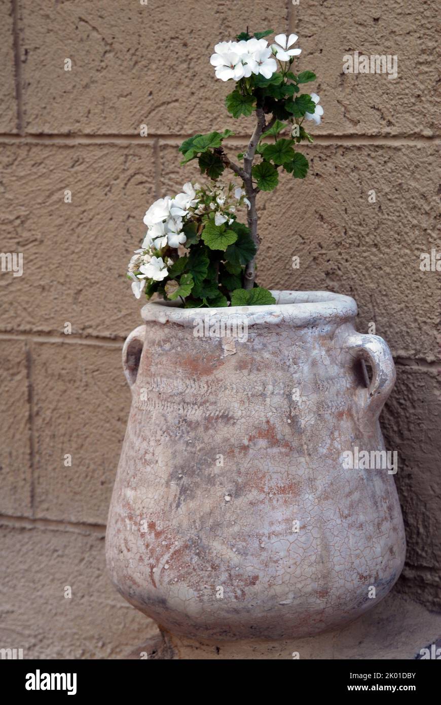 Greece, Dodecanese, Rhodes island Psinthos village and Fasouli springs ...