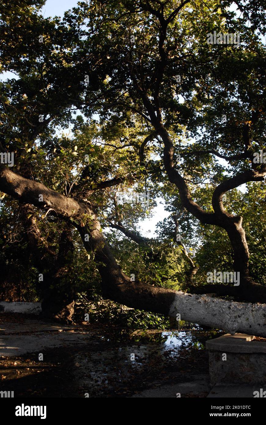 Psinthos village hi-res stock photography and images - Alamy