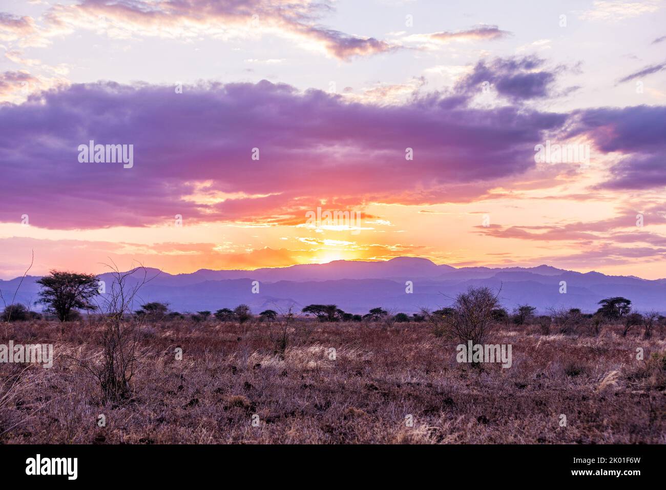 Meru National Park is a Kenyan national park located east of Meru, 350 ...