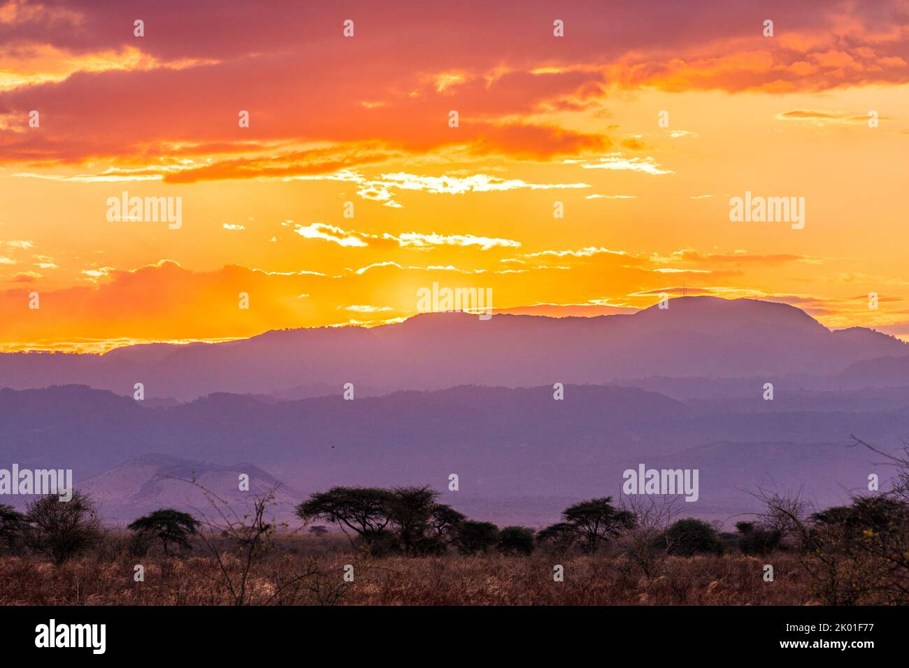 Meru National Park is a Kenyan national park located east of Meru, 350 ...