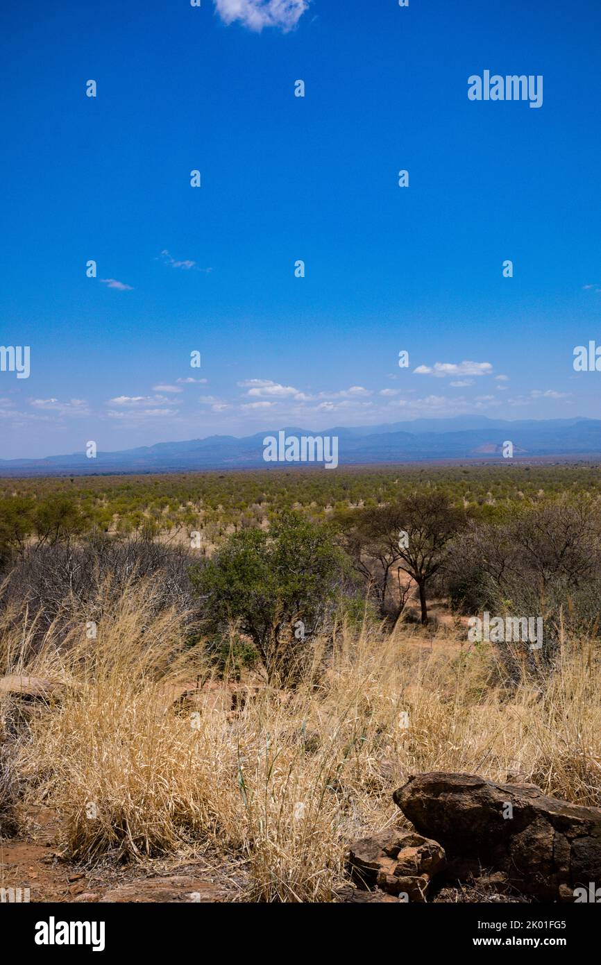 Meru National Park is a Kenyan national park located east of Meru, 350 ...