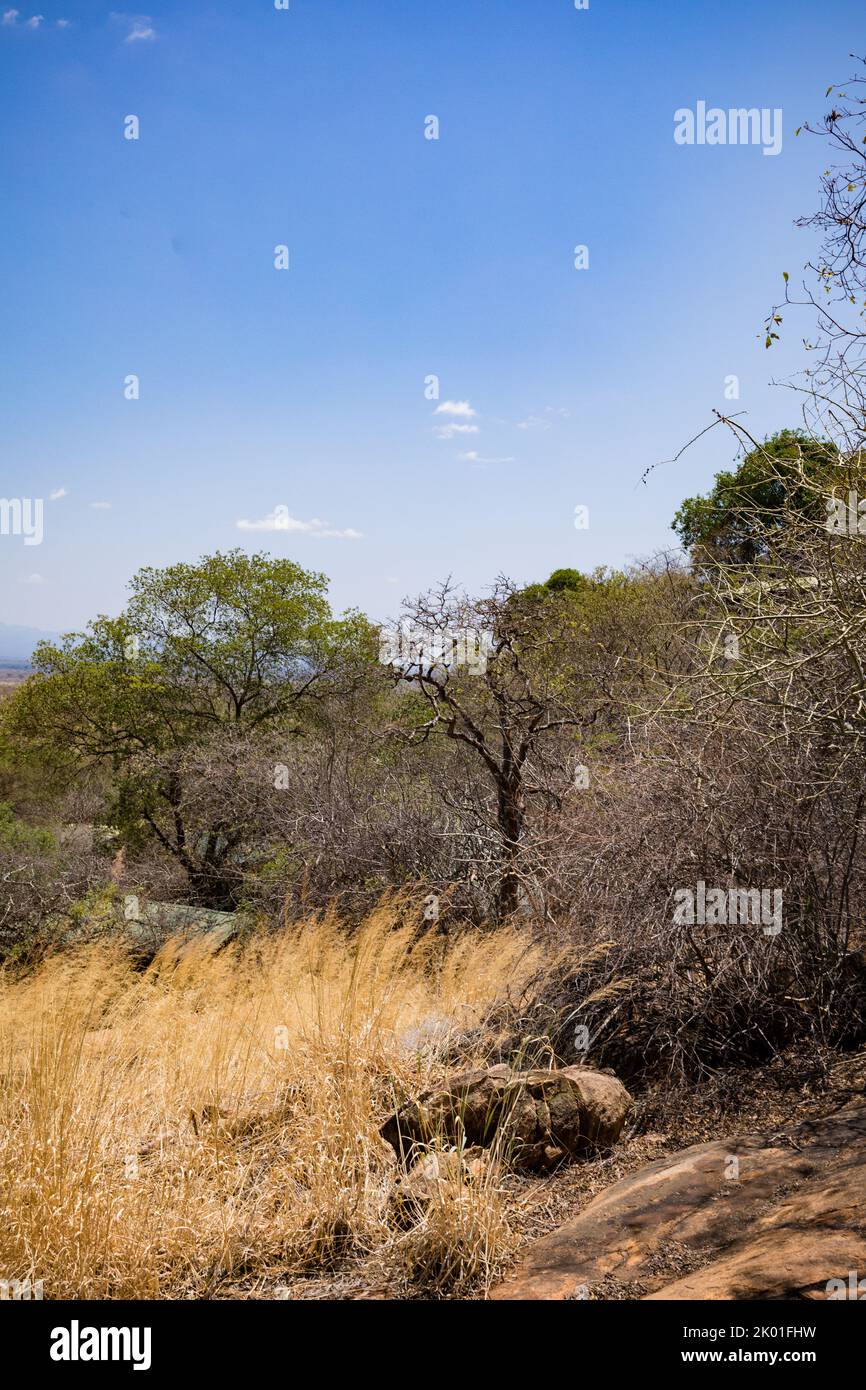 Meru National Park is a Kenyan national park located east of Meru, 350 ...