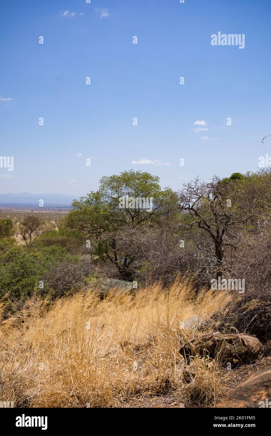Meru National Park is a Kenyan national park located east of Meru, 350 ...