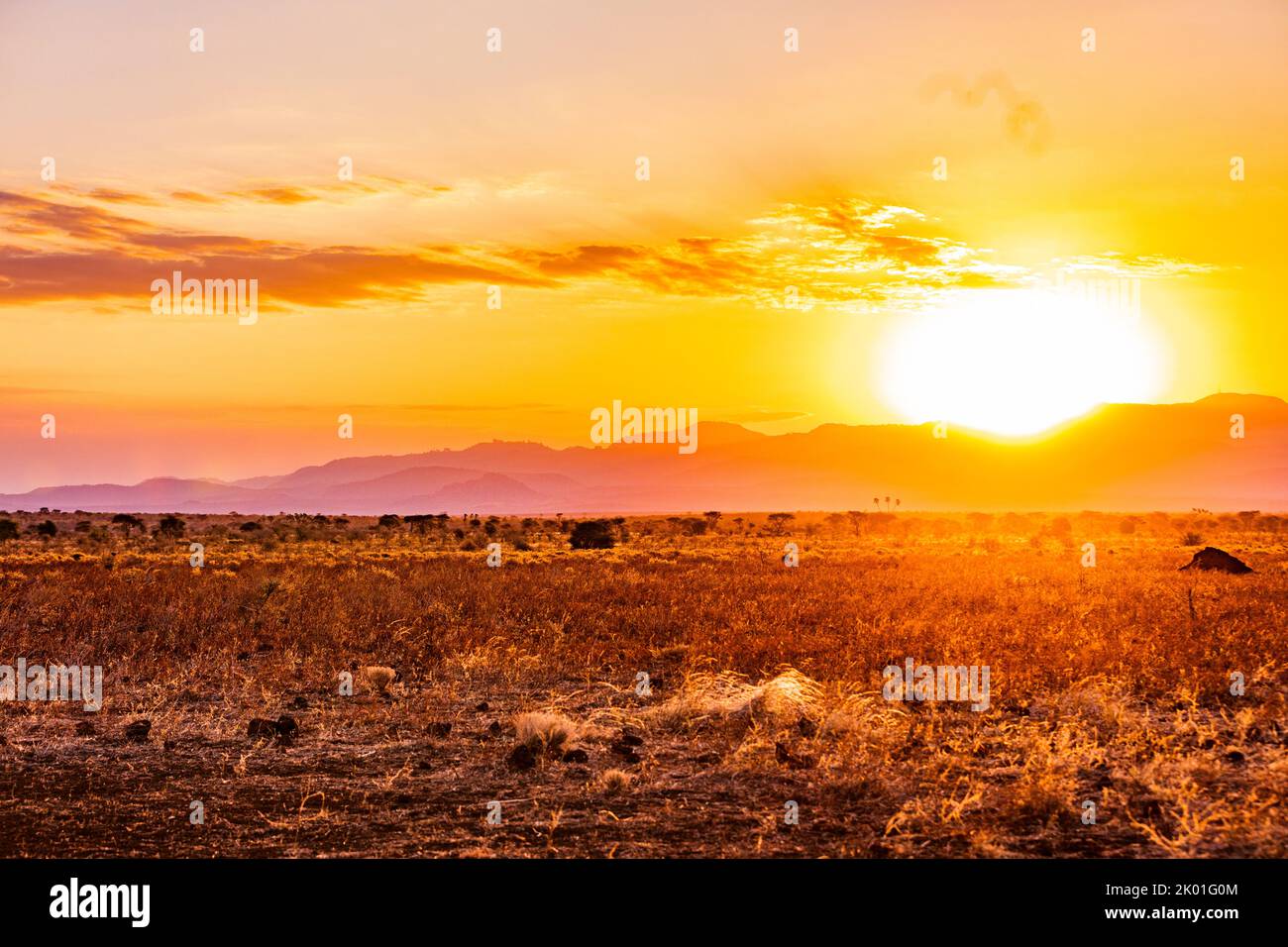 Meru National Park is a Kenyan national park located east of Meru, 350 ...