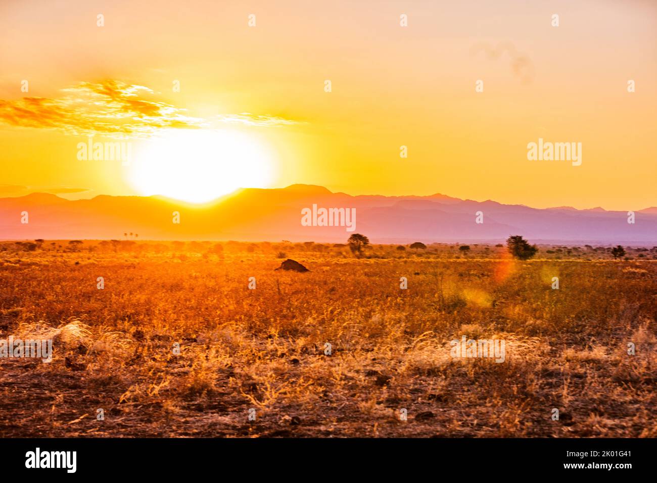 Meru National Park is a Kenyan national park located east of Meru, 350 ...