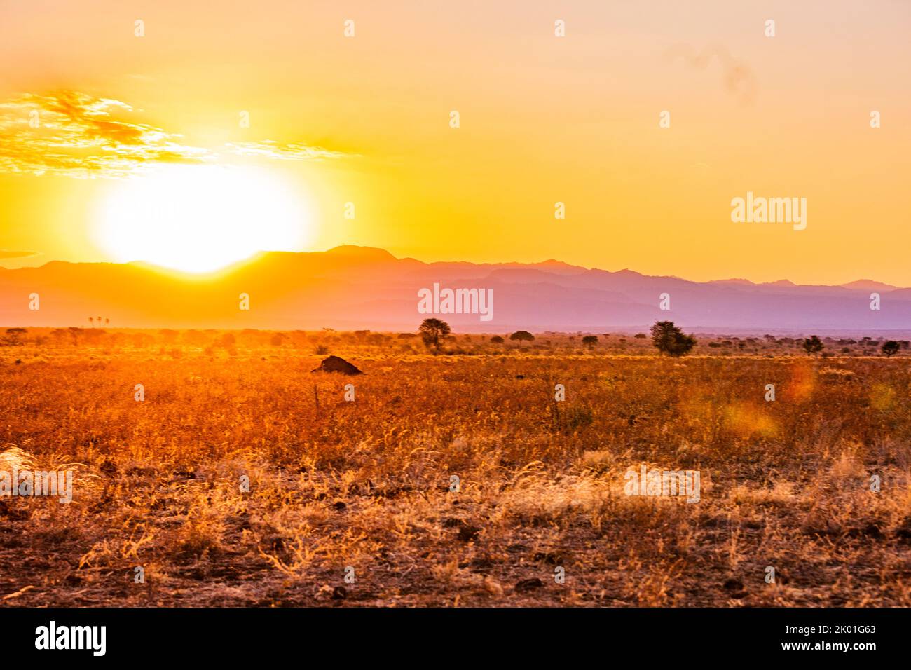 Meru National Park is a Kenyan national park located east of Meru, 350 ...