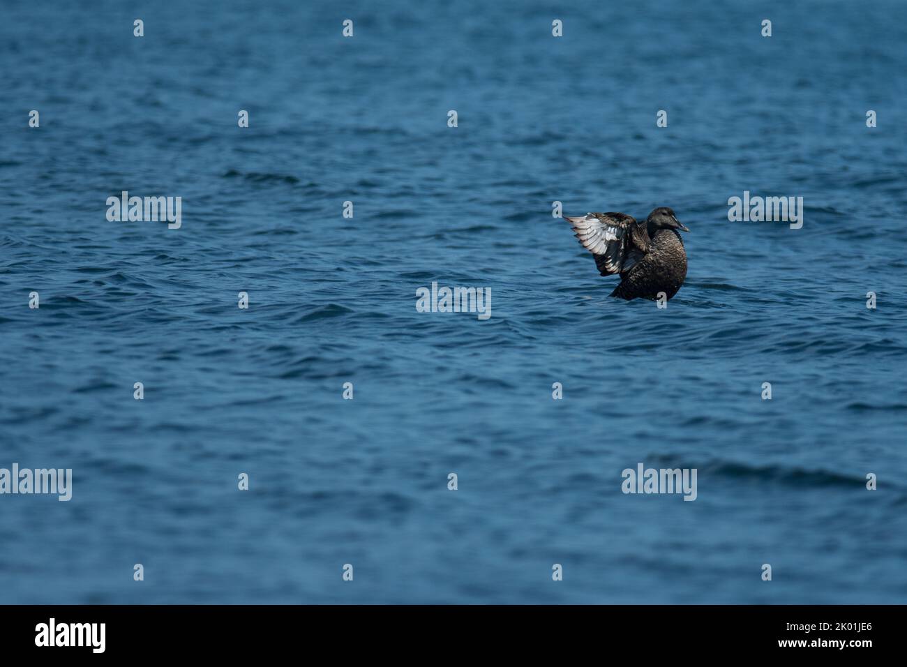 Atlantic ocean water hi-res stock photography and images - Alamy