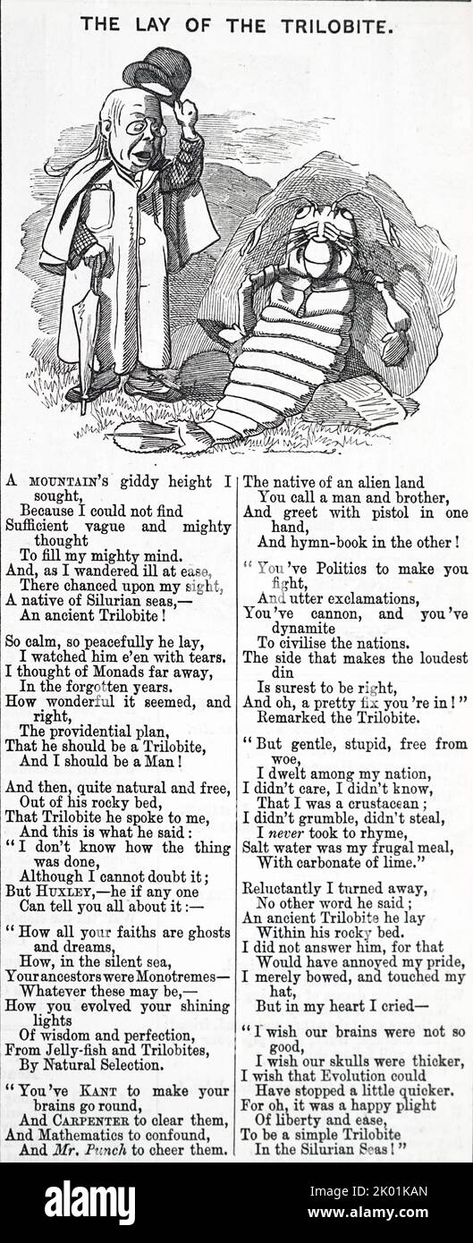 Evolution, when ignorance was bliss. Cartoon from Punch, 24 January ...