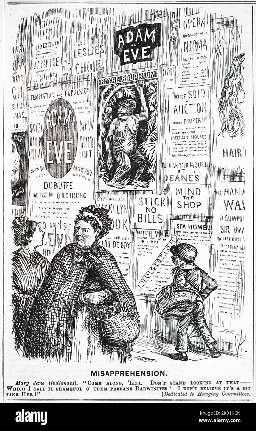 Mistaken Identity Artwork