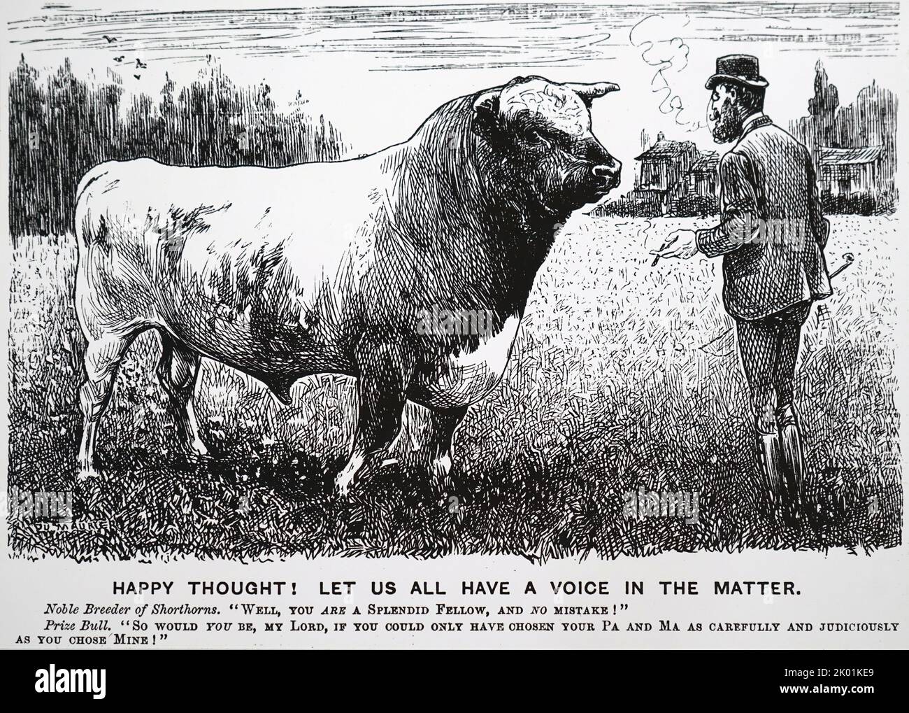 Selective breeding. George du Maurier Cartoon from Punch, London, 20 ...