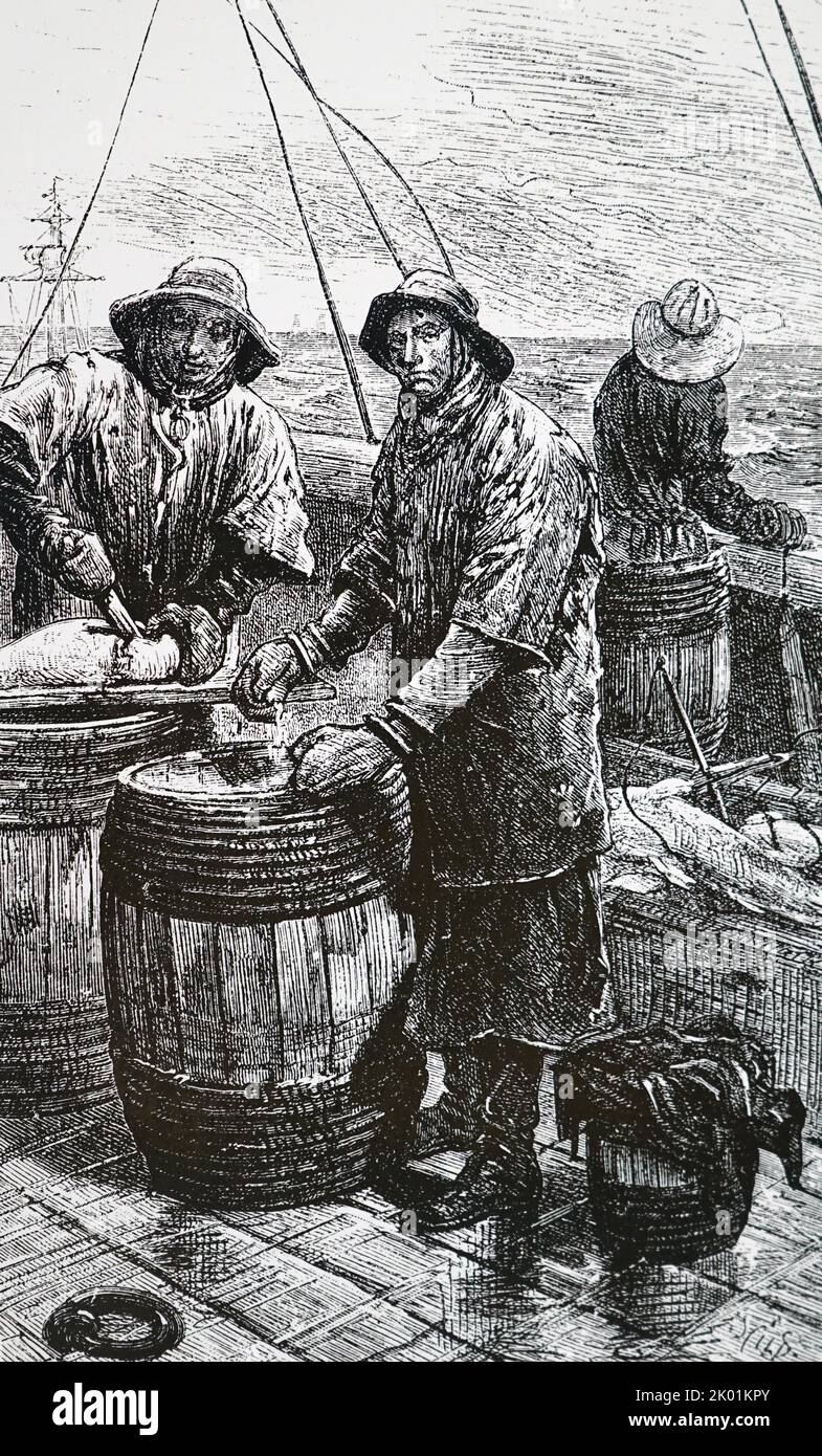 Gutting cod fish hi-res stock photography and images - Alamy