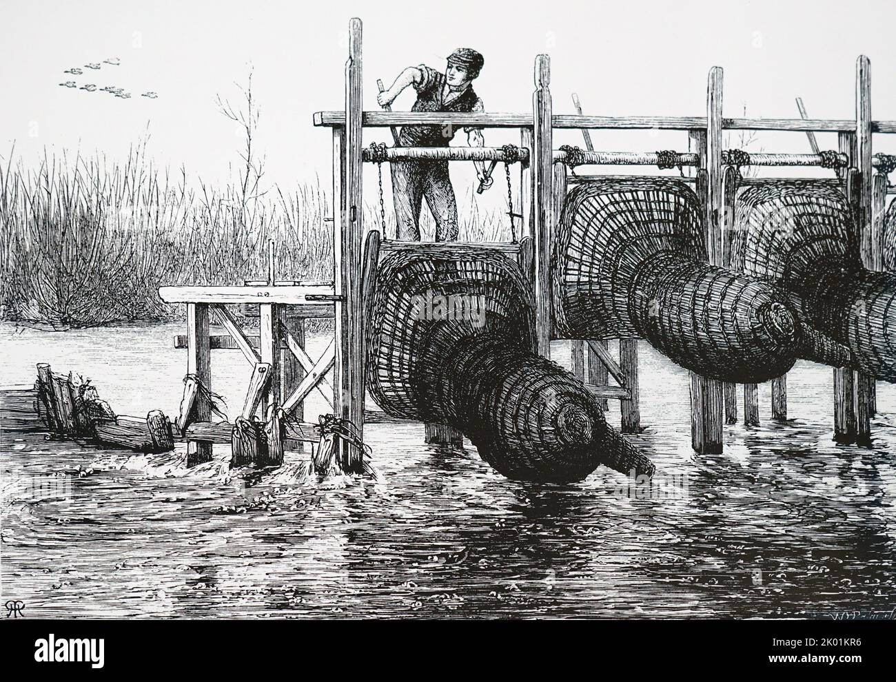 Lowering eel bucks Stock Photo - Alamy