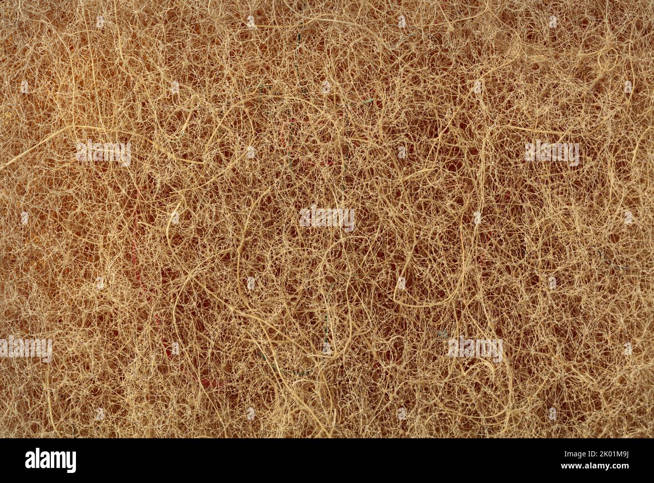 Agave fiber hi-res stock photography and images - Alamy