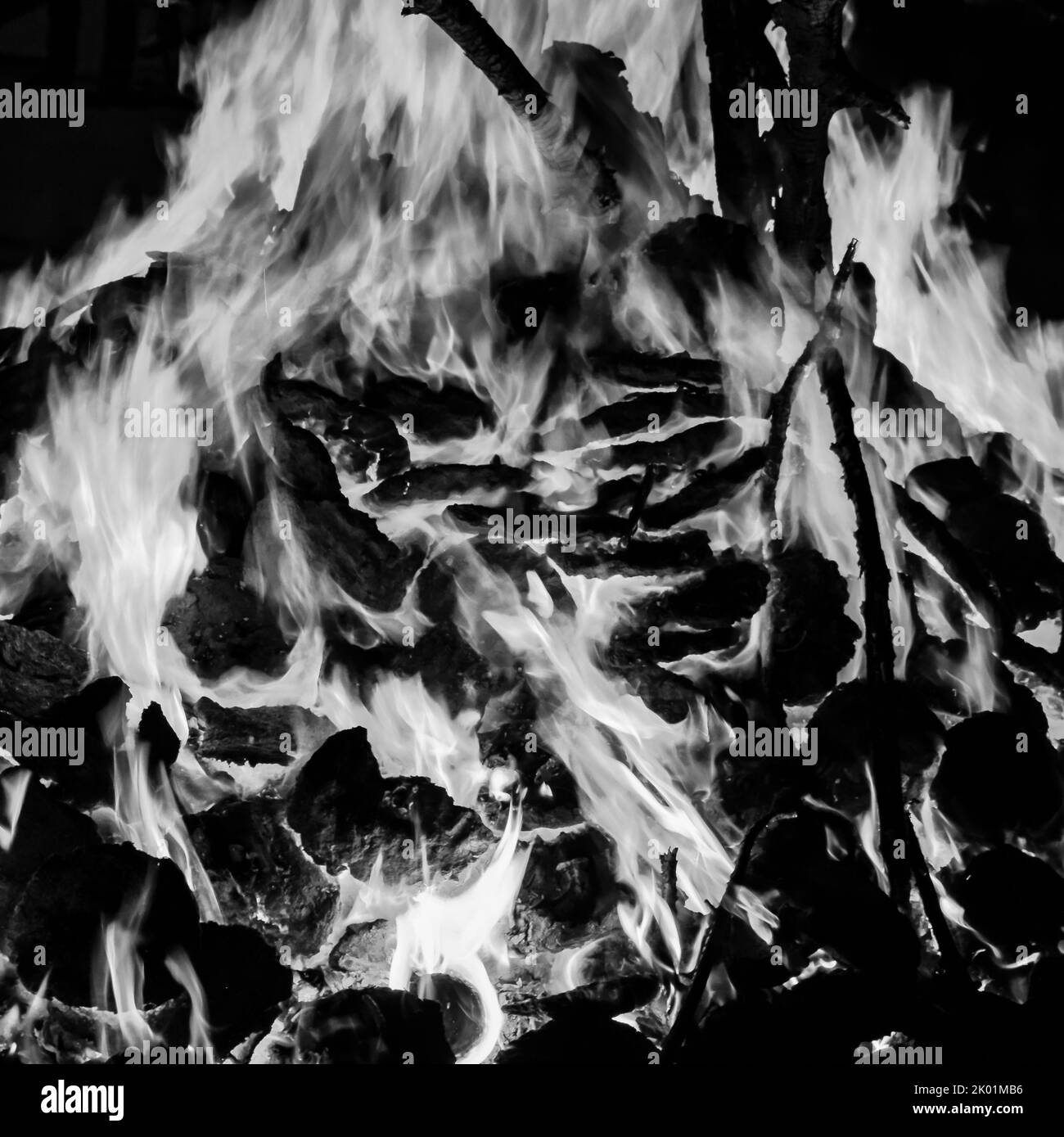 Fire flames on black background, Blaze fire flame texture background ...