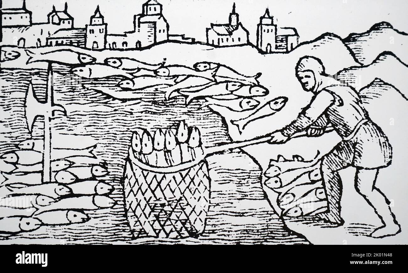 Herring nets hi-res stock photography and images - Alamy