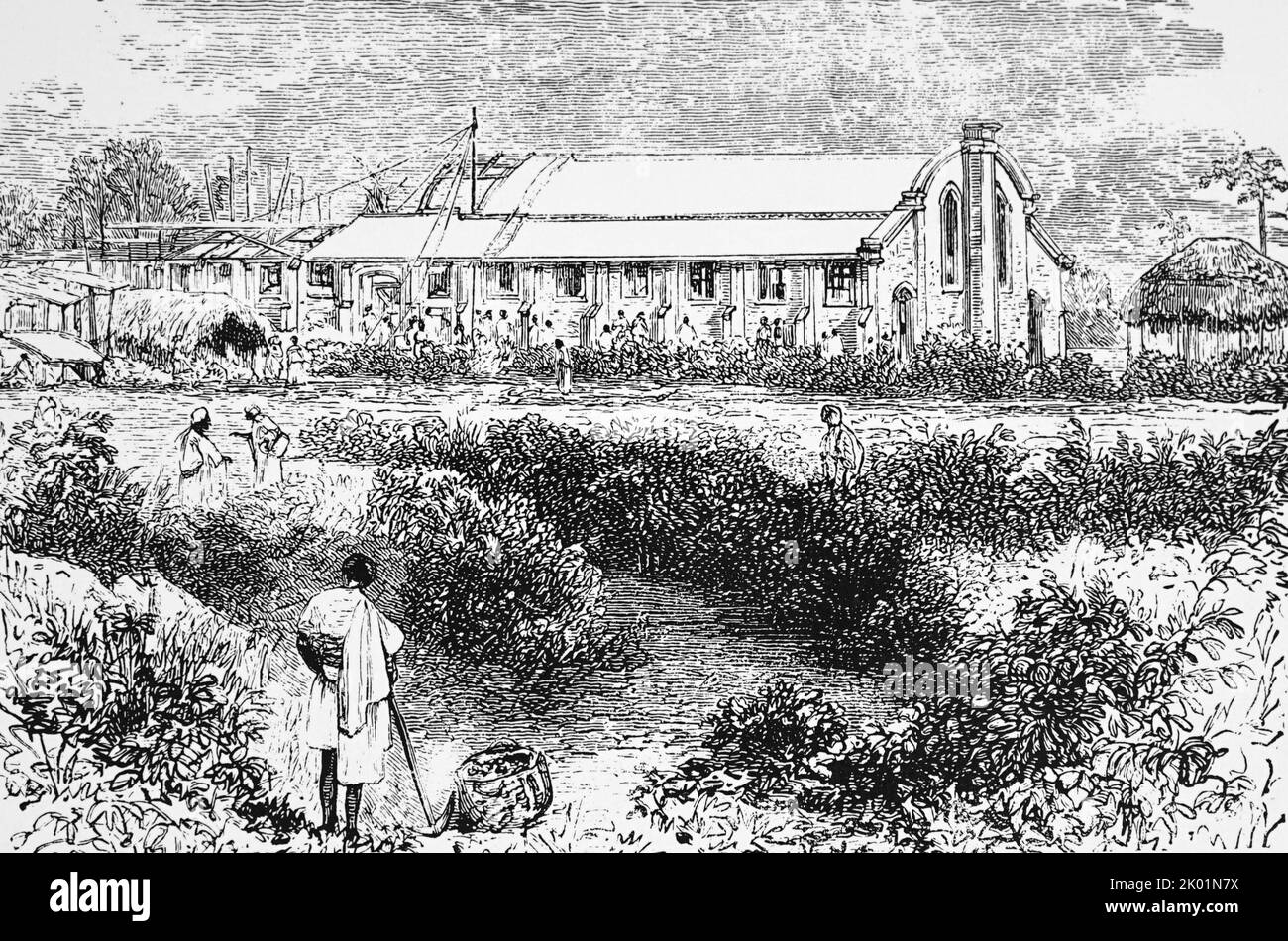 Tea factory, Assam Stock Photo - Alamy