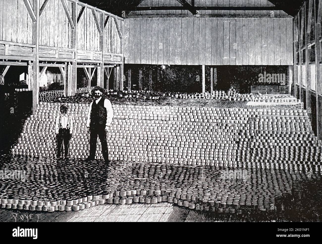 Salmon cannery, New Westminster, British Columbia. Tins of fish in the ...