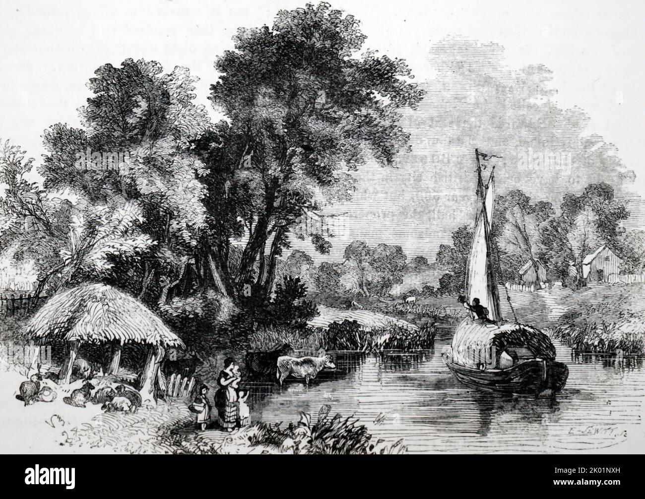 View on the River Bure on the Norfolk Broads showing a hay barge ...