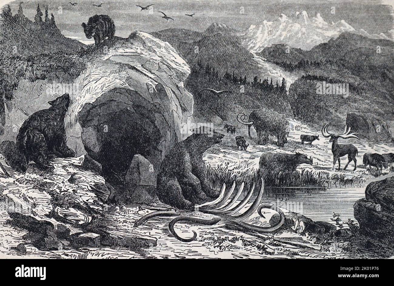 Ideal European landscape of post-Glacial period showing Irish Elk ...