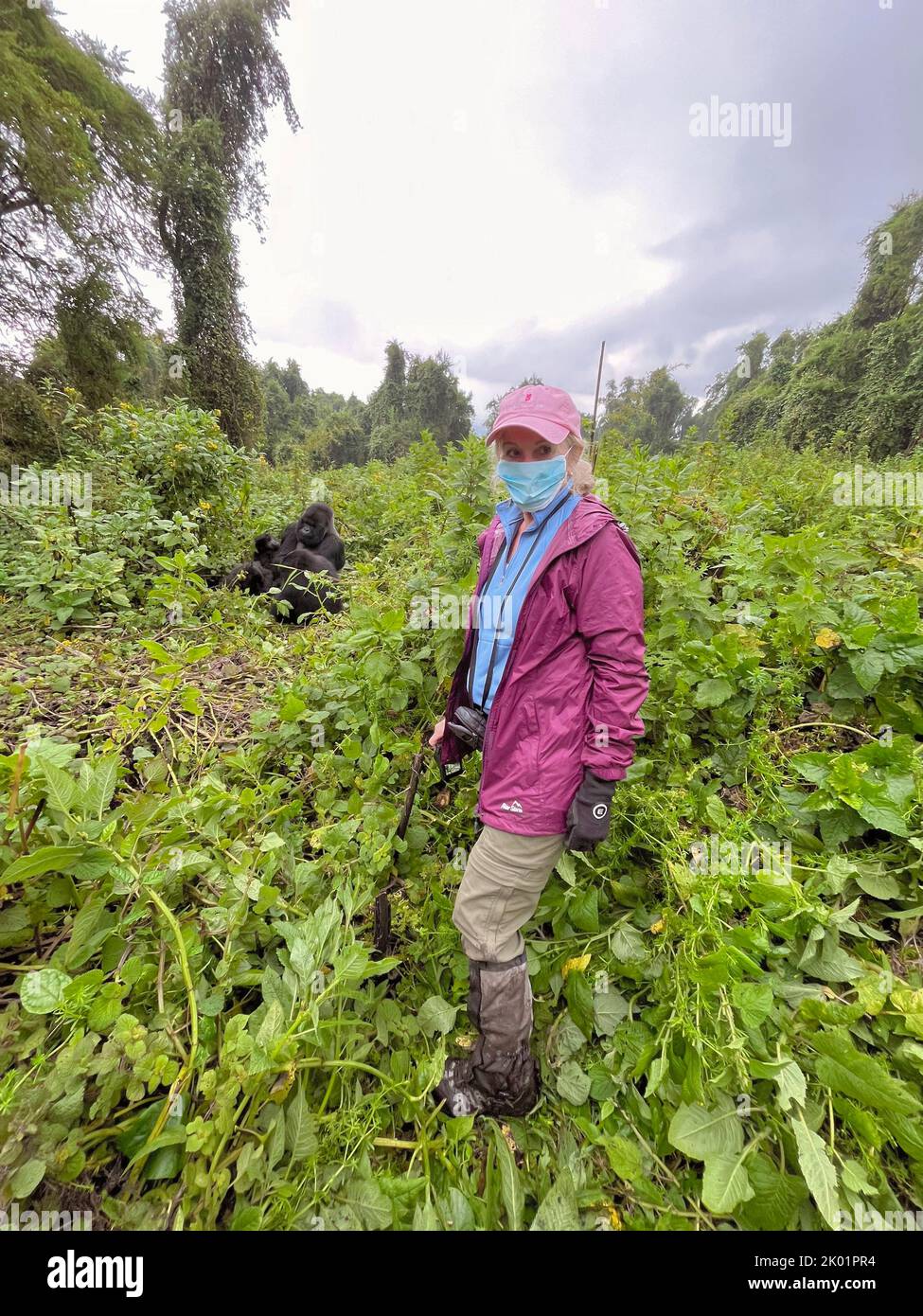 1st September, 2022 Mount Karisimbi, Virunga Mountains, Rwanda, Africa ...
