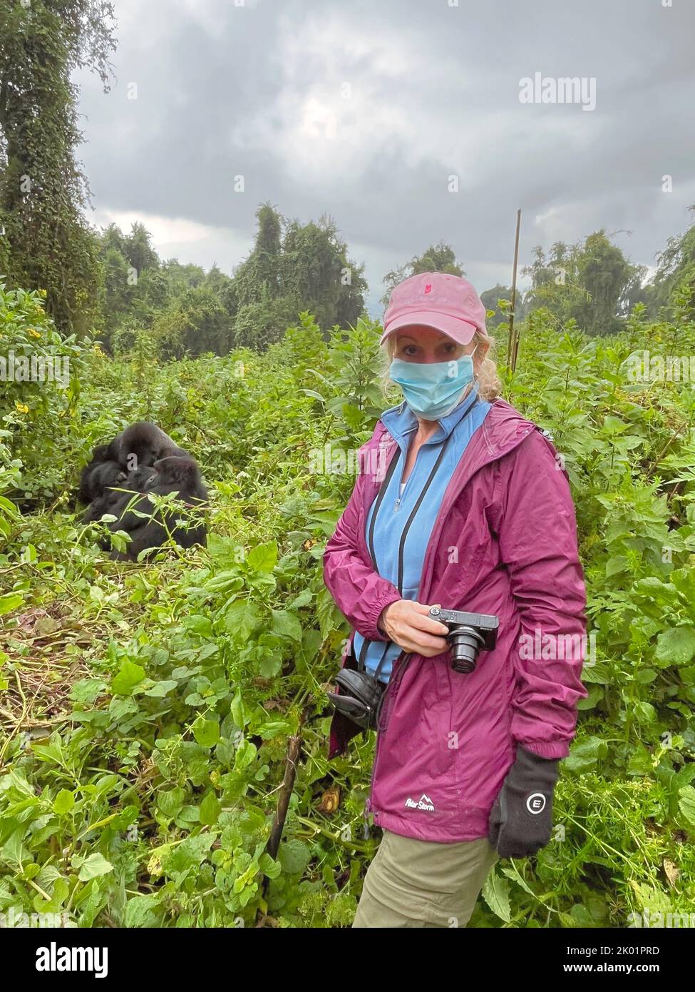 1st September, 2022 Mount Karisimbi, Virunga Mountains, Rwanda, Africa ...