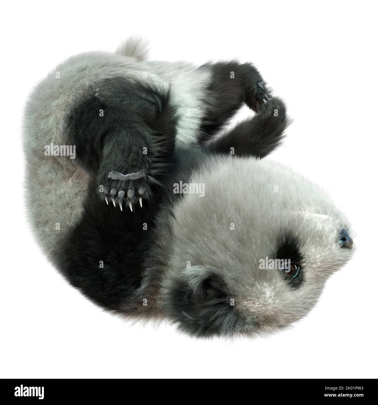 3D rendering of a panda bear isolated on white background Stock Photo ...