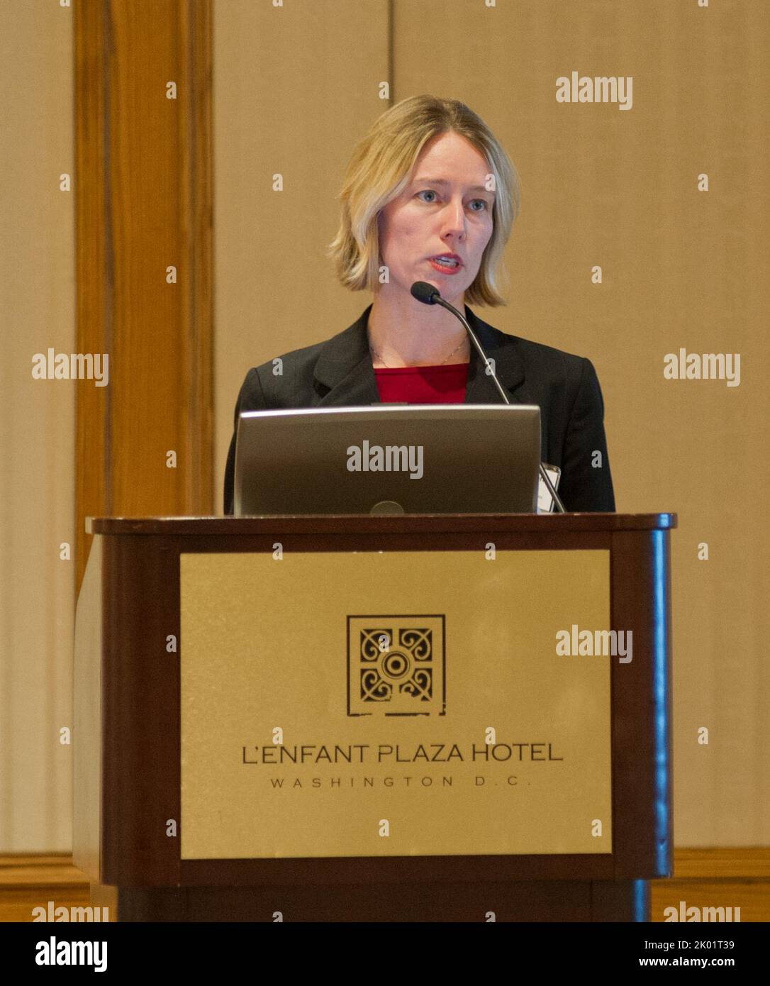 HOPE VI Program for public housing revitalization: panel discussion at ...