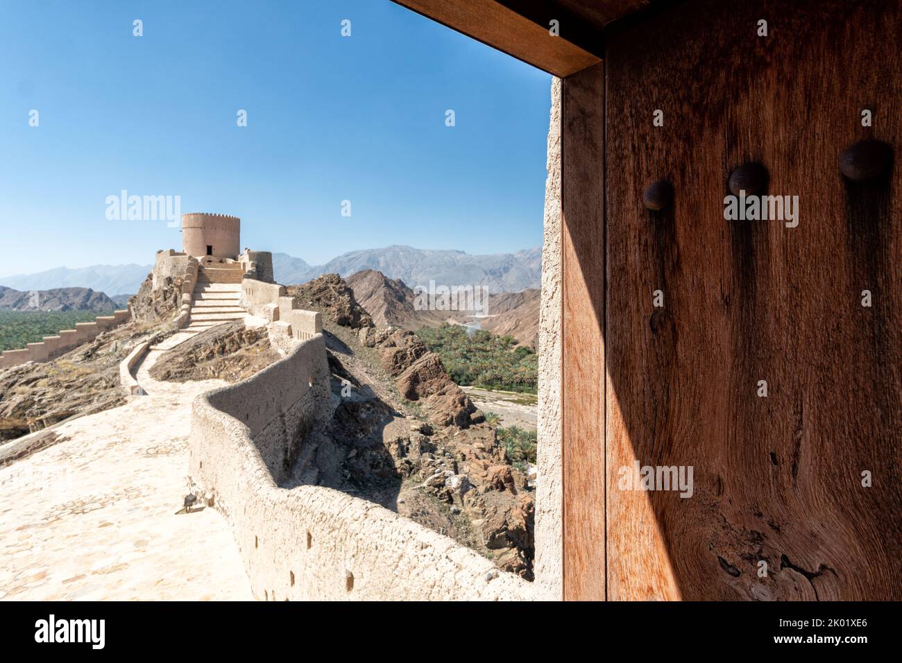 Date palms oman hi-res stock photography and images - Alamy