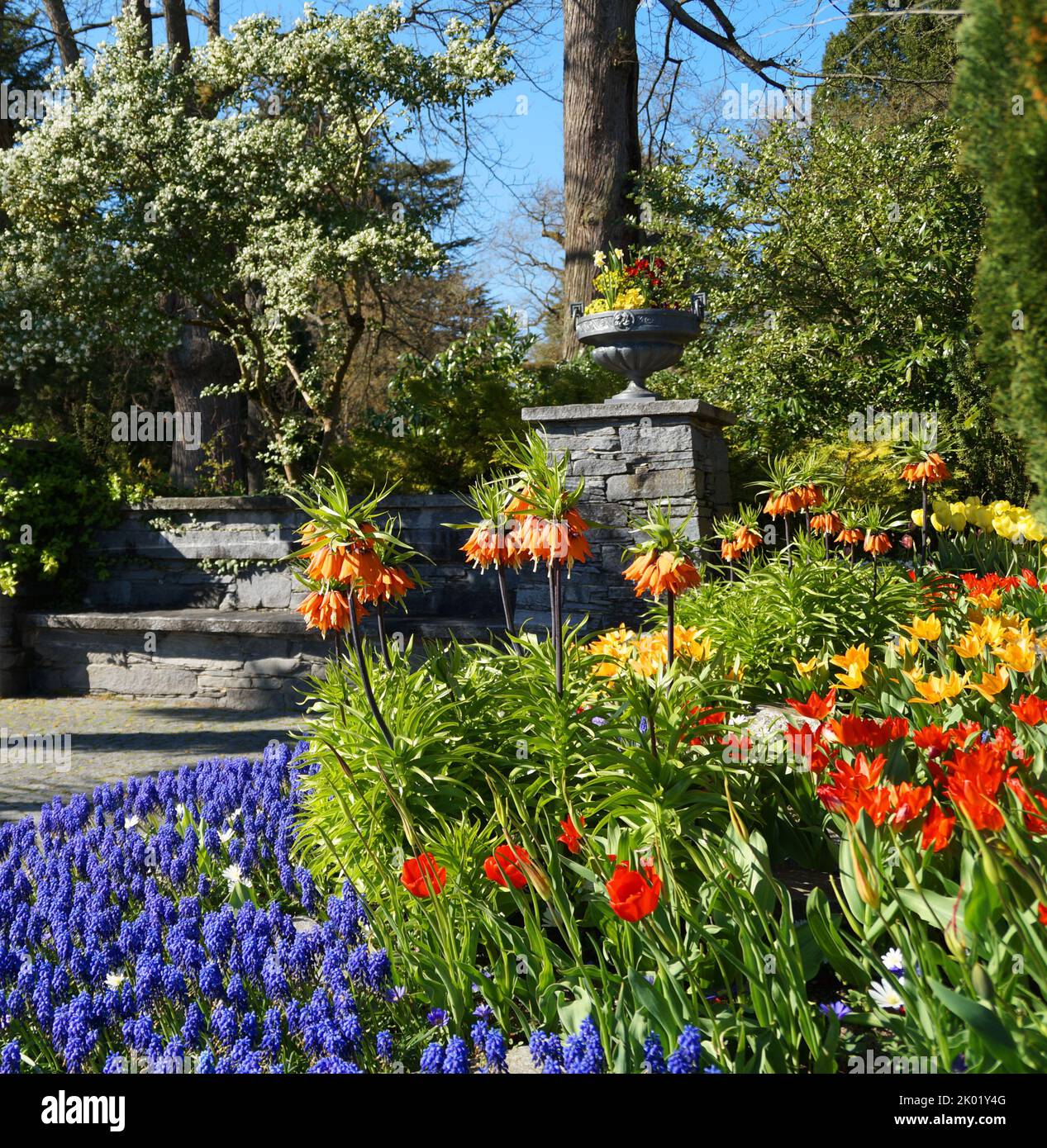 a beautiful view of Flower Island Mainau, the majestic green trees and ...