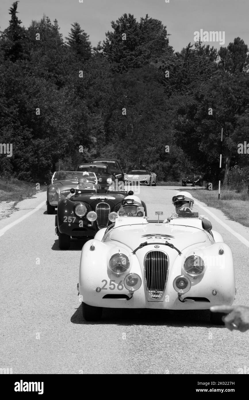 URBINO - ITALY - JUN 16 - 2022 : JAGUAR XK120 OTS ROADSTER 1953 on an ...