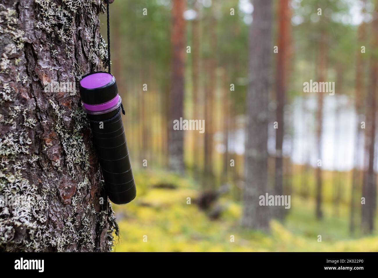 Geocache geo cache geocaching hi-res stock photography and images - Alamy