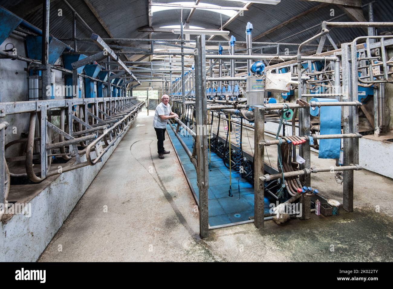 Inside the milking parlour on a Rosscarbery dairy farm tour, County ...