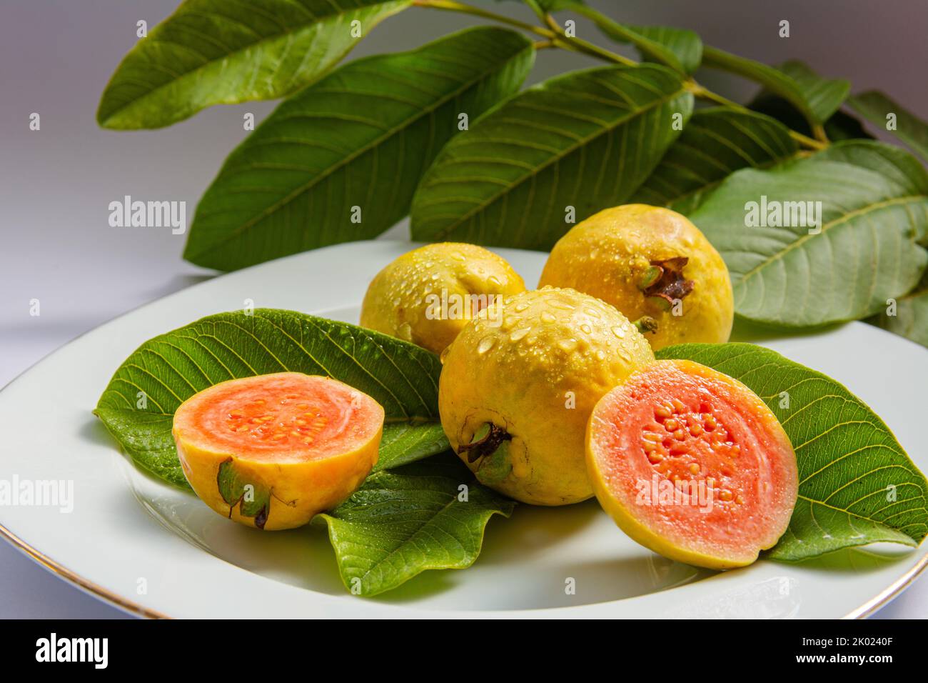 Ripe yellow fruits and leaves of guava on a white background. Beautiful ...