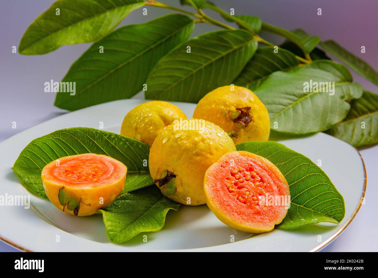 Ripe yellow fruits and leaves of guava on a white background. Beautiful ...