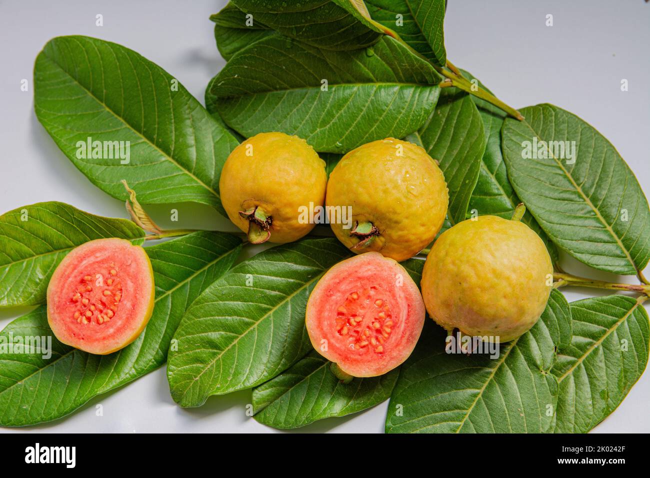 Ripe yellow fruits and leaves of guava on a white background. Beautiful ...