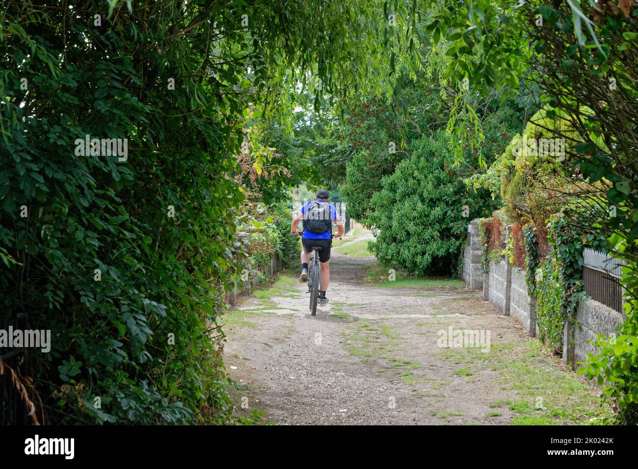 Rear view of a single male cyclist riding on the towpath at Old Windsor ...