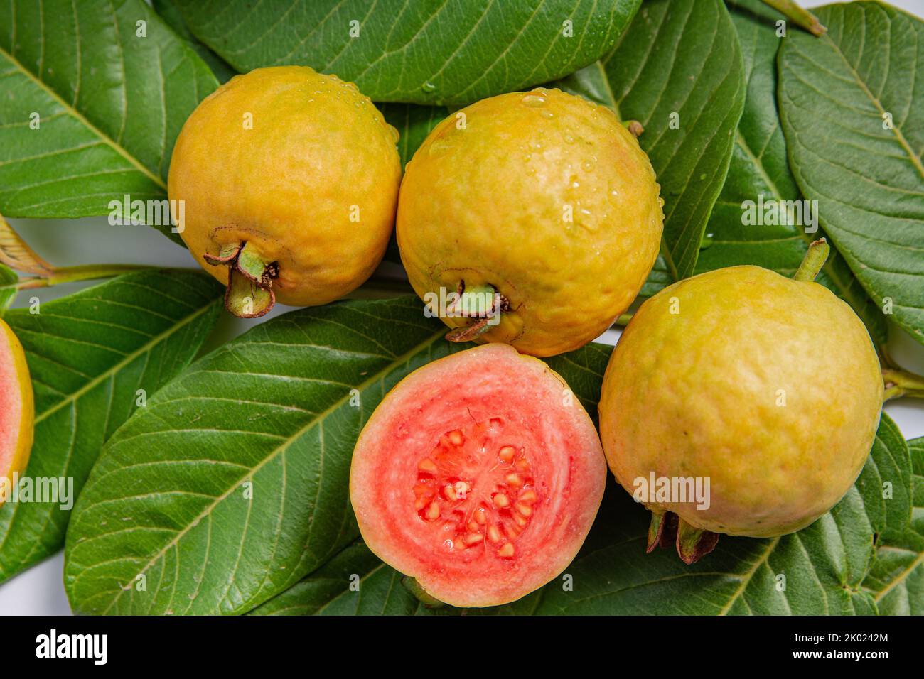 Ripe yellow fruits and leaves of guava on a white background. Beautiful ...