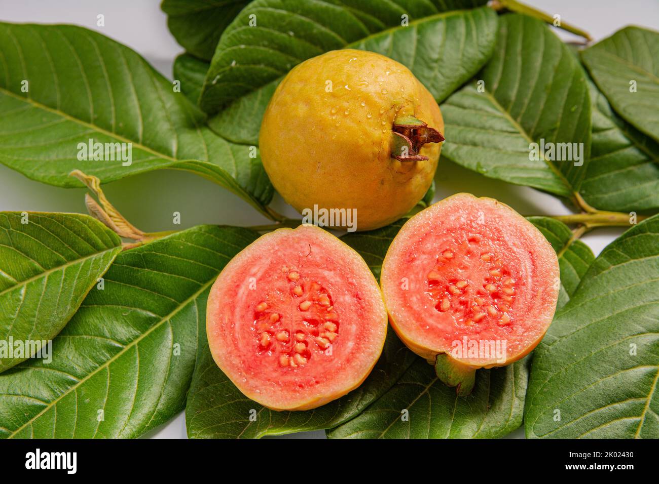 Ripe yellow fruits and leaves of guava on a white background. Beautiful ...