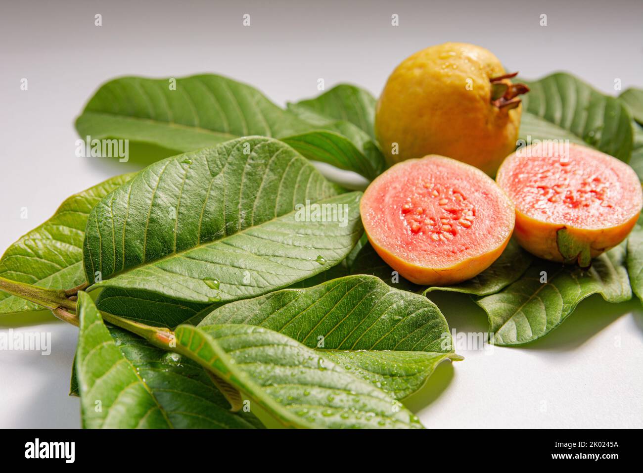 Ripe yellow fruits and leaves of guava on a white background. Beautiful ...