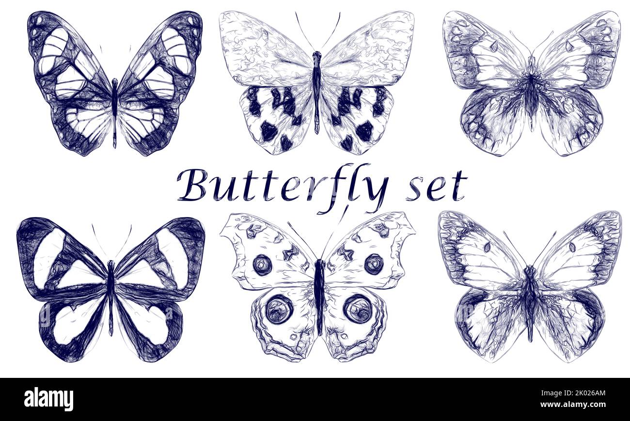 Set of butterflies drawn with a blue pen isolated on a white background ...