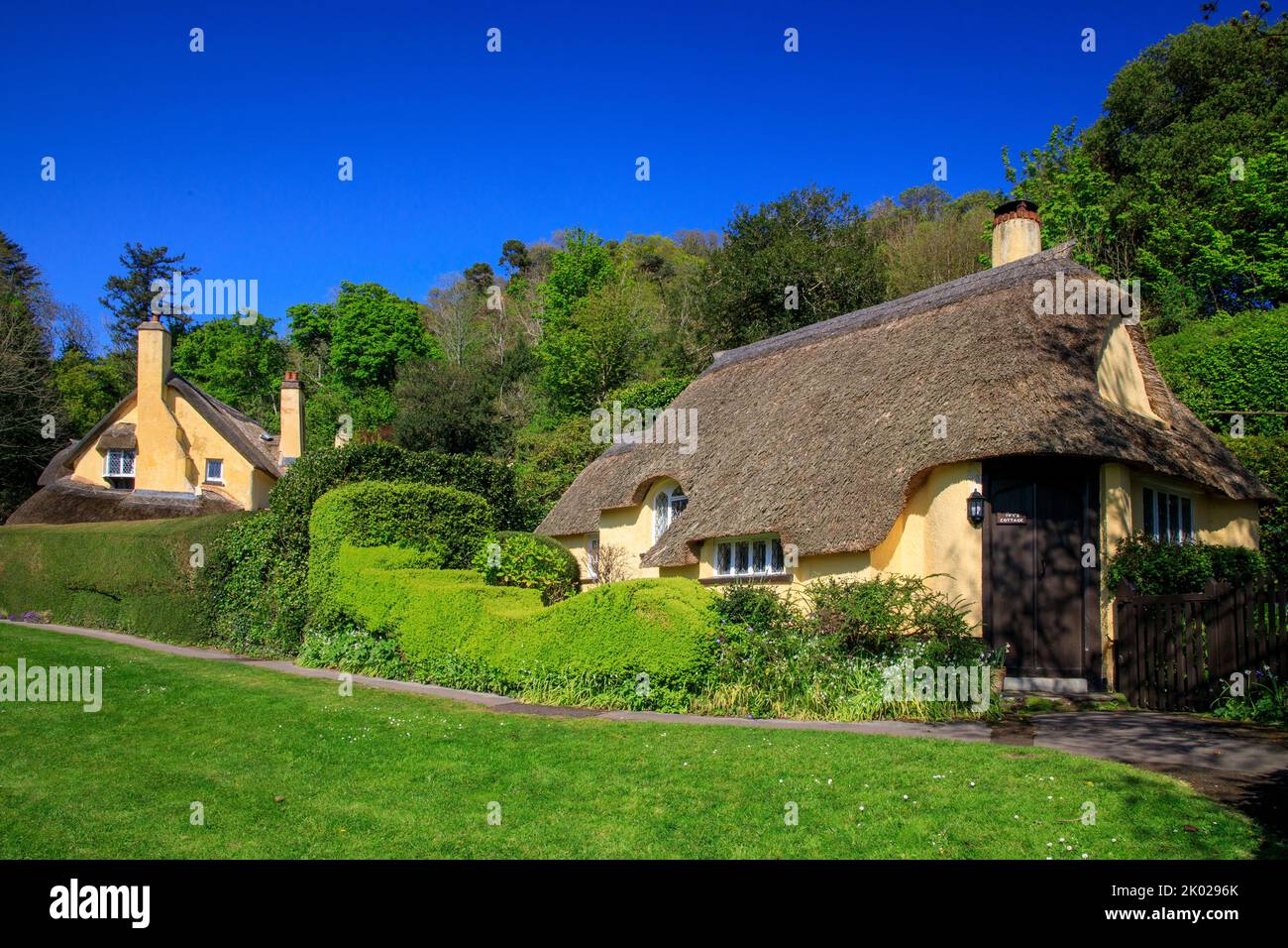 Ivy's Cottage is an attractive thatched cottage at Selworthy Green on ...