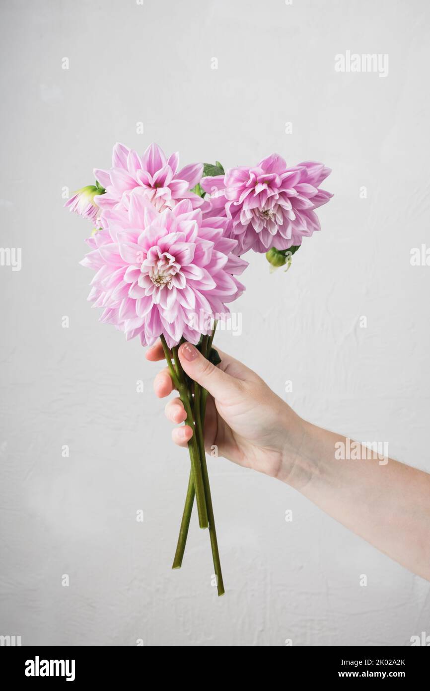 Hand bouquet flowers hi-res stock photography and images - Alamy