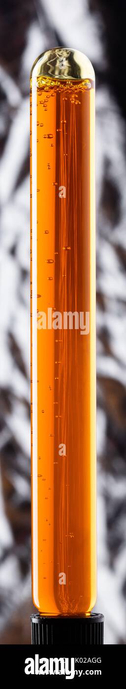 Yellow viscous liquid sunflower lecithin with bubbles in a transparent ...