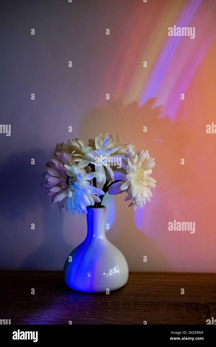 home decor floral composition flowers neon rainbow Stock Photo - Alamy