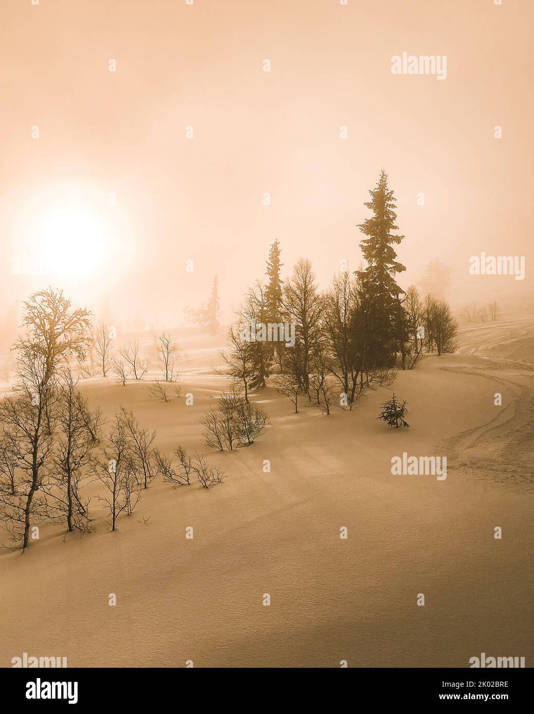 Voss in a beautiful light. powder snow Stock Photo - Alamy