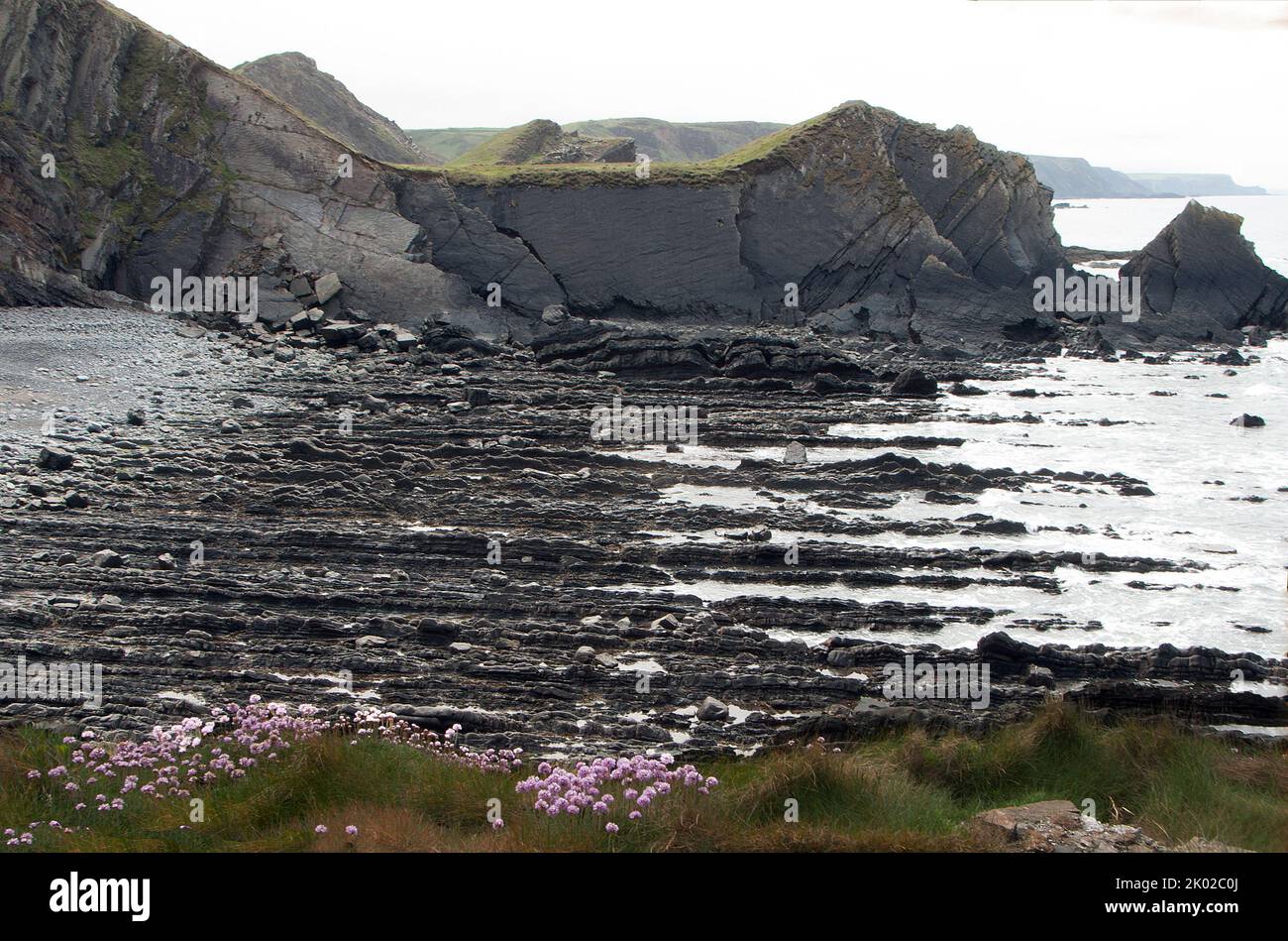 Sandstone and mudstone shale hi-res stock photography and images - Alamy