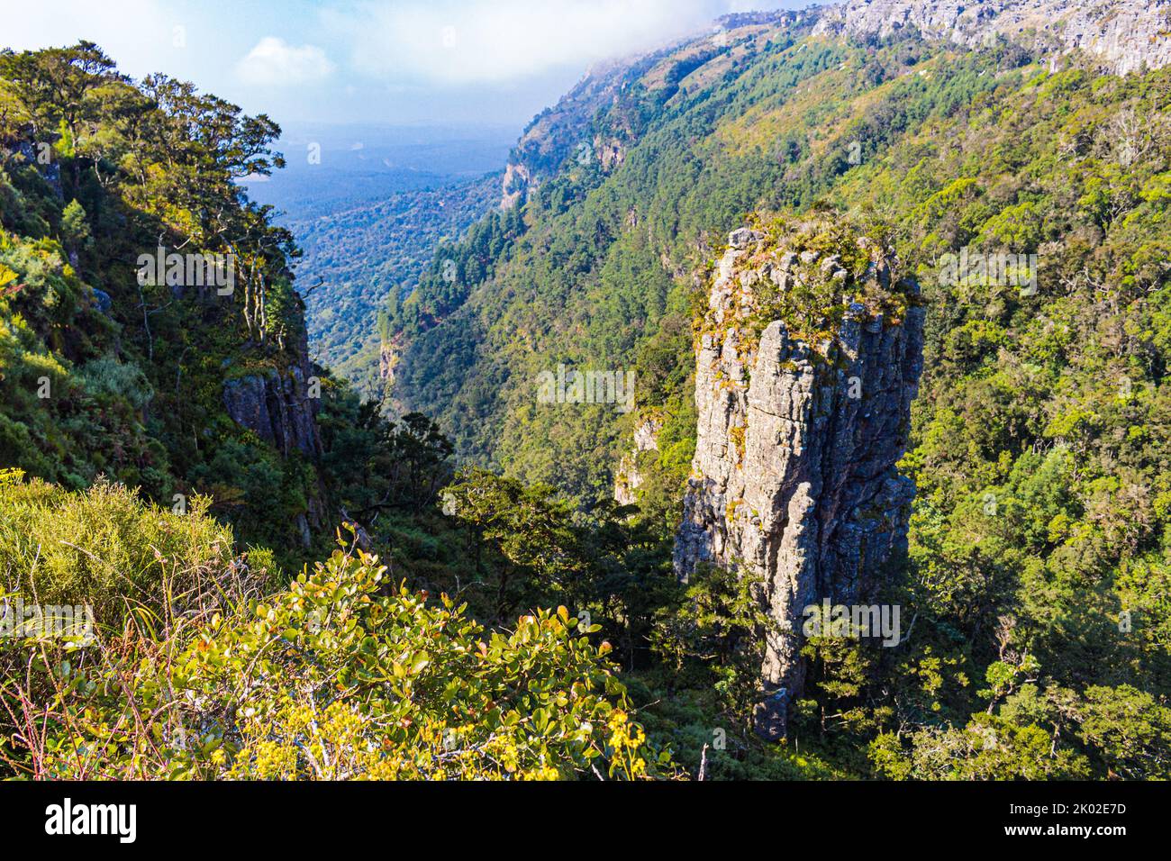 Midway between Graskop Town and Gods Window on the Paorama Route, South ...