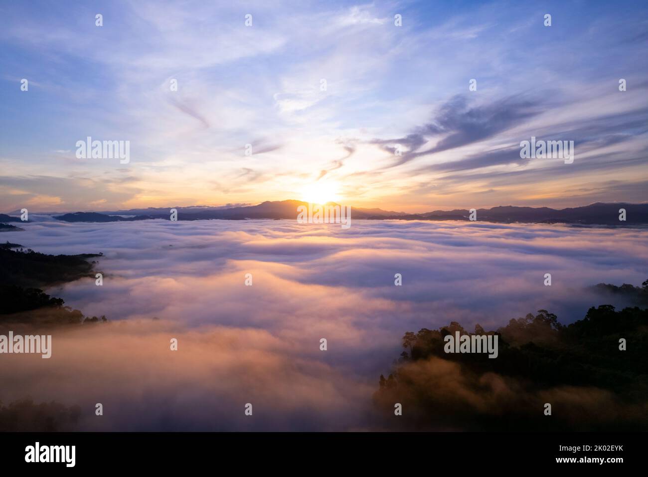 Aerial view of flowing fog waves on mountain tropical rainforest,Bird ...
