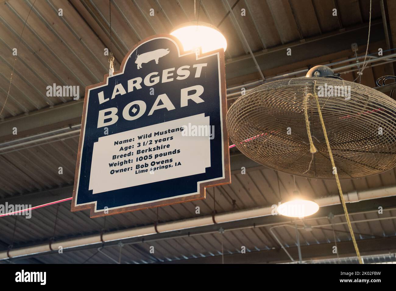 St. Paul, Minnesota - September 3, 2022: Sign for the Largest Boar pig ...